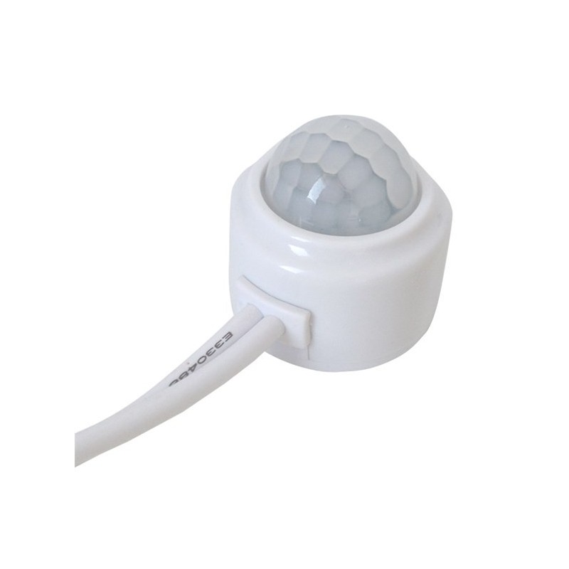 PIR Sensor for LEDs 12V 24W with 2.1mm conector