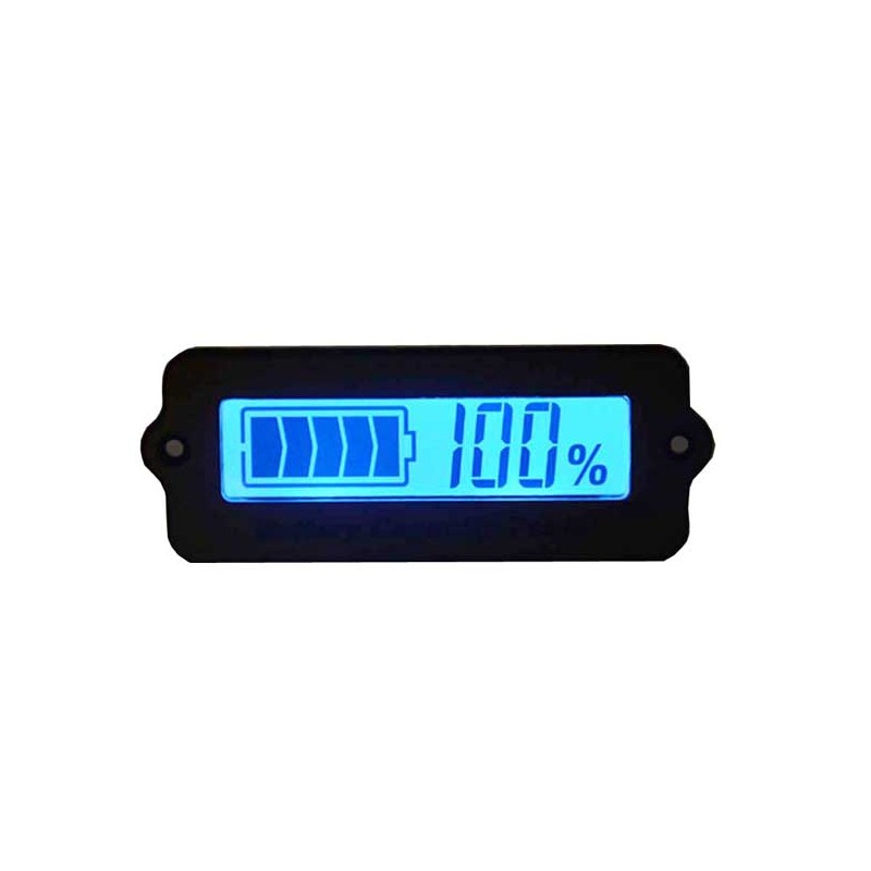 Battery monitor Display 12-24-36-48Vdc - LY6