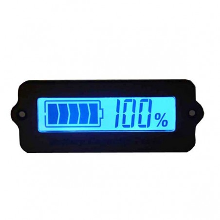 Battery monitor Display 12-24-36-48Vdc - LY6