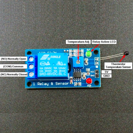 Relay Temperature Sensor