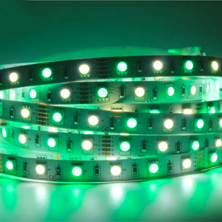 Led Strip 300 LEDs SMD5050 Flexible IP65 RGB+W 12V (5 mts)