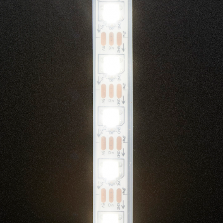 NEOPIXEL - Fita de LEDs RGBW, SK6812, 60 LED/m, Fundo Branco IP67 - 1 metro